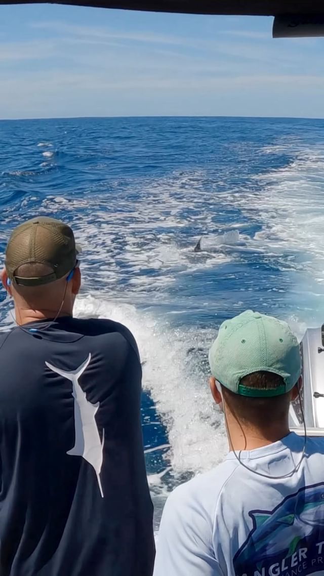 Built To Fish TV – Fishing and Boating Adventures from around New Zealand